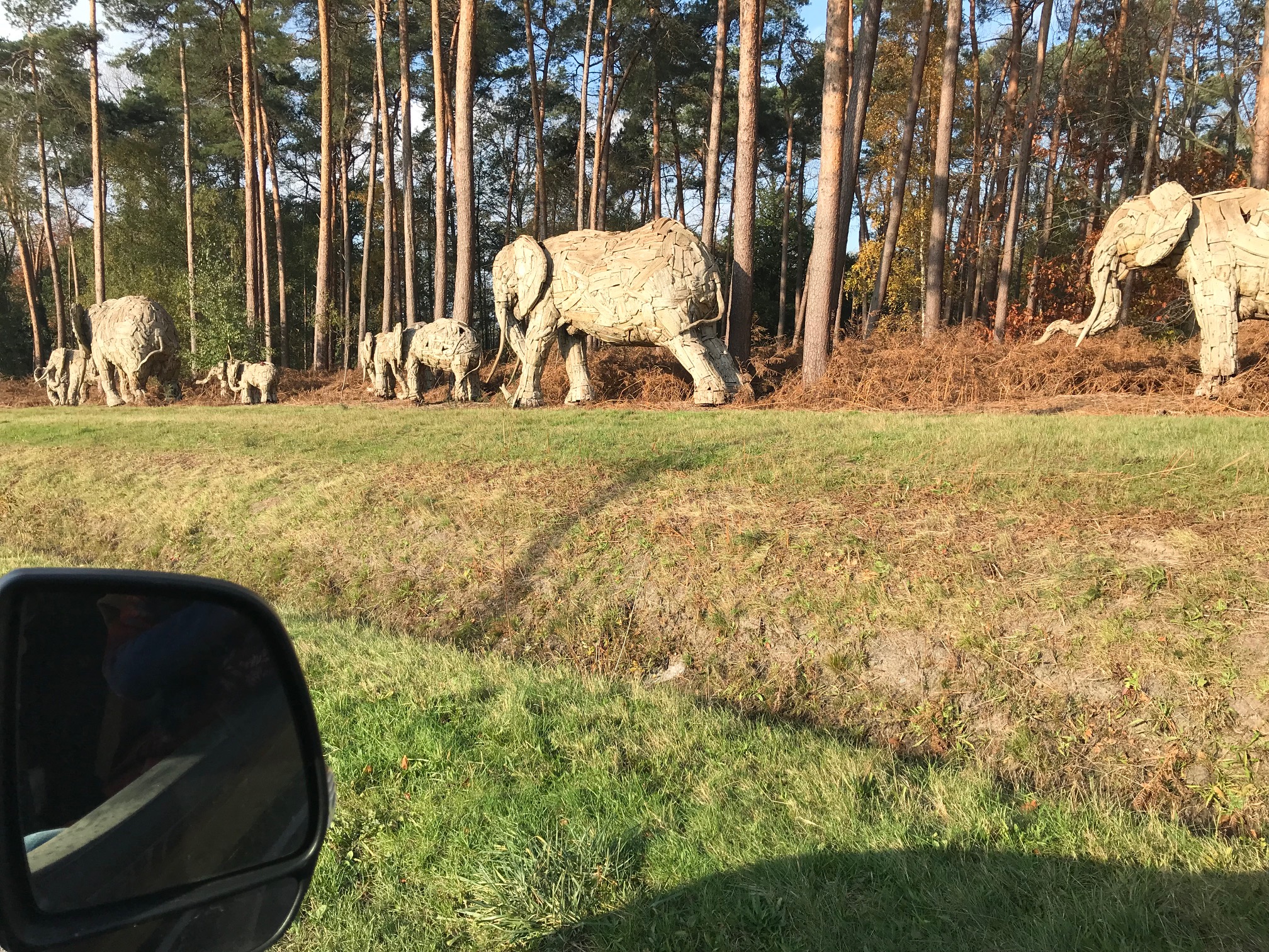 Verbeke Foundation bietet Kunst und Kultur - Belgieninfo