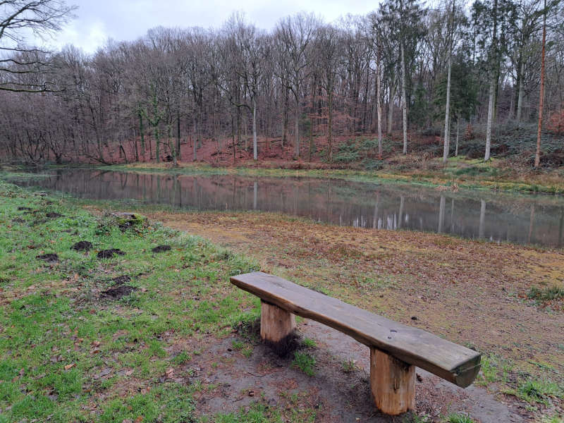 Im Tervurener Wald - Belgieninfo