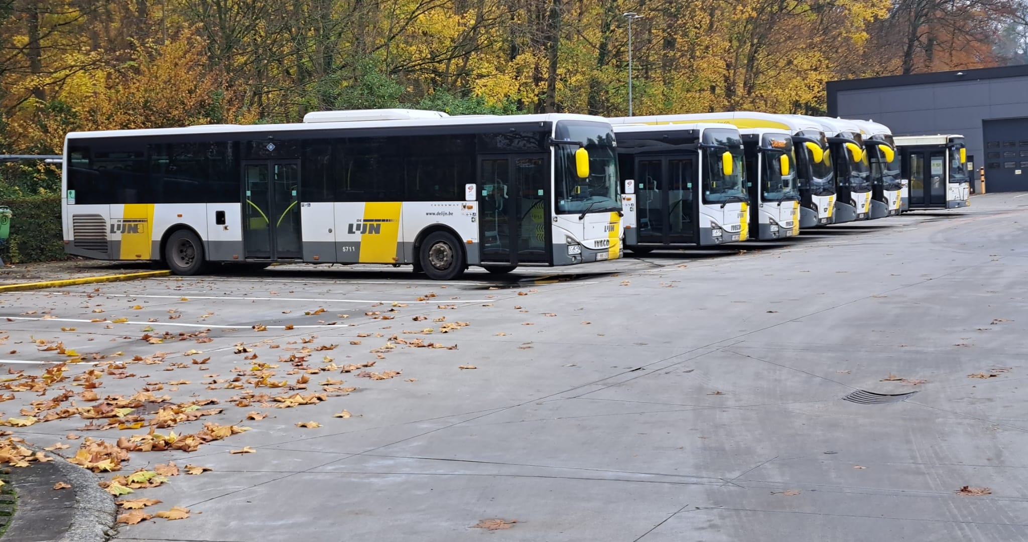 Häufigere Busverbindungen bei De Lijn – bis nach Mitternacht - Belgieninfo
